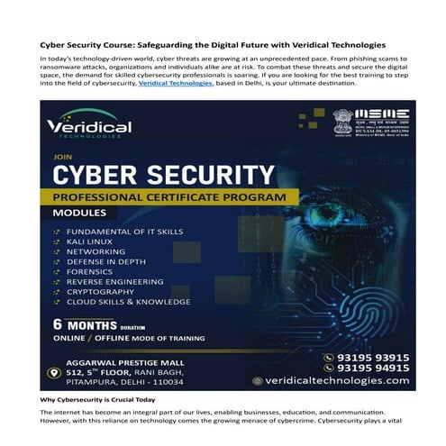 Cyber Security Course: Safeguarding the Digital Future with Veridical ...