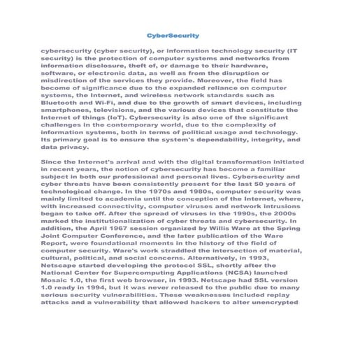 cybersecurity essay.docx