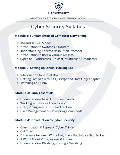 Watch Out Hackersprey Cybersecurity Syllabus Pdf