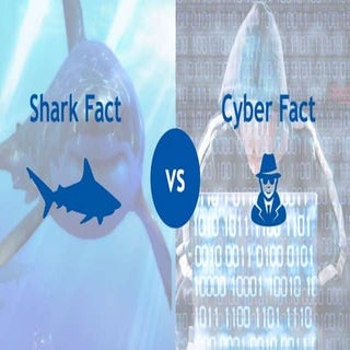 Cyber V. Shark Facts | PPTX
