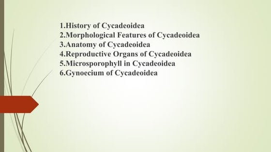 Sexual Reproduction in Flowering Plants (Part I) | PPT