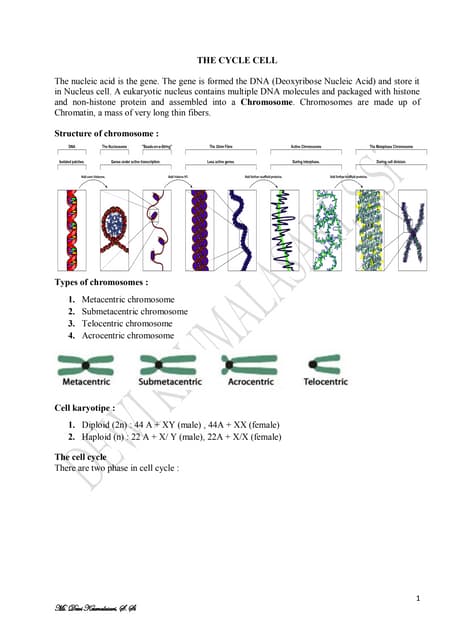 The correct sequence of the phases of the cell cycle are A. prophase.pdf