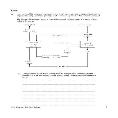 Cycles revision questions | RTF