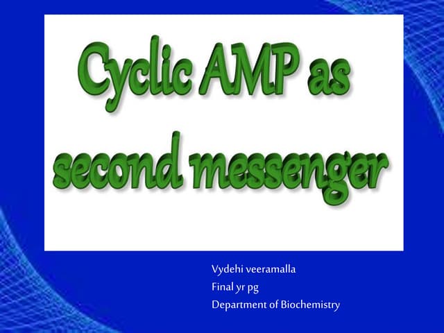 Cyclic amp pathway | PPT