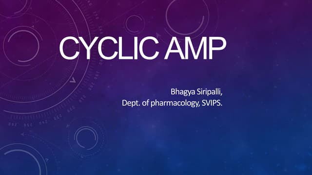 Cyclic amp pathway | PPT