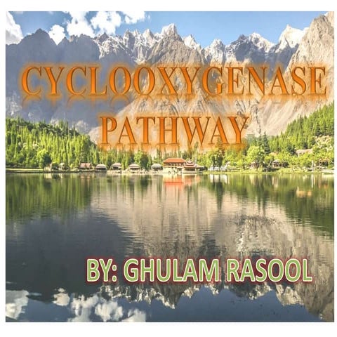 Cyclo oxygenase pathway | PPTX