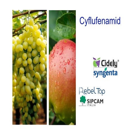 Cyflufenamid santomauro-fmv-2012 | PDF