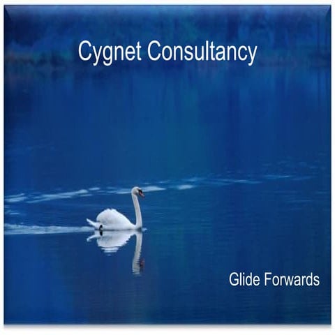 Cygnet Consultancy | PPS