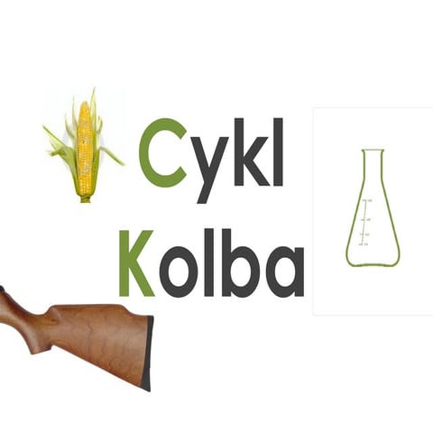 Cykl kolba | PPT