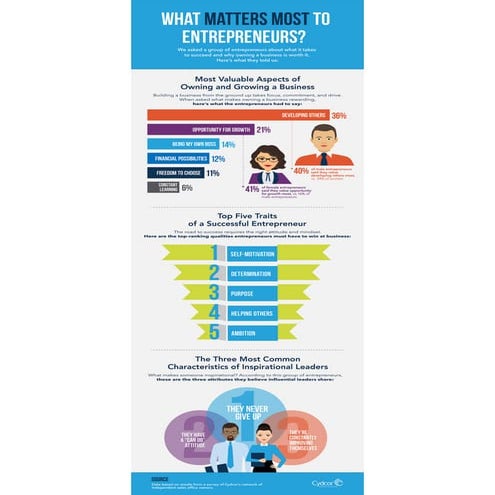 What Matters Most to Entrepreneurs? | PDF