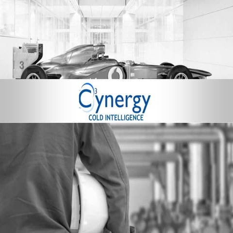 Cynergy general overview v2 | PPT