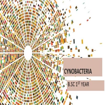 Cynobacteria - A Blue Green Algae | PPTX