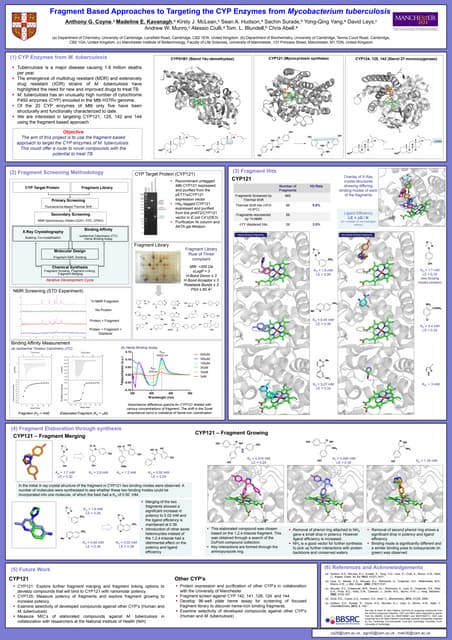 Thesis Poster (1) | PPT