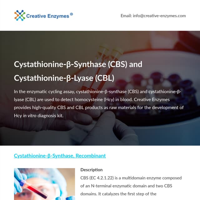 Cystathionine synthase cbs and cystathionine lyase cbl creative enzymes ...