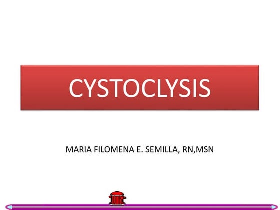 Urology | PPT | Surgery | Medical Health