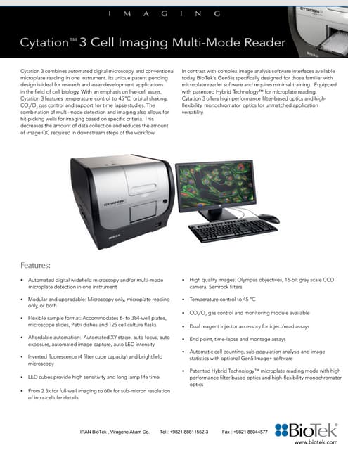 Protocol for Phage isolation - flowchart | PPT