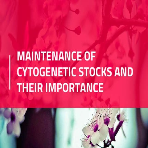 maintenance of genetic stocks | PPTX