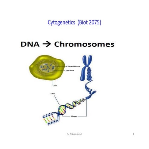 cytogenetics and Genome organization.pdf