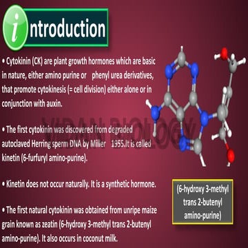 Cytokinin Plant Hormones | PDF