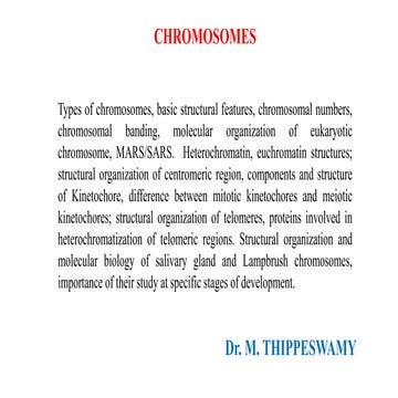 Cytology chromosomes | PPTX