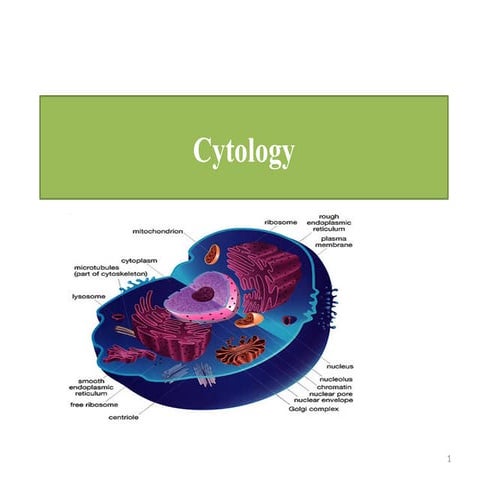Cytology ppt.pptxWhat happened after hurrem beaten hatich | PPT