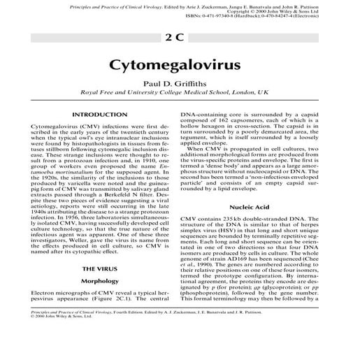 Microbiology of Cytomegalovirus (Herpes).pptx