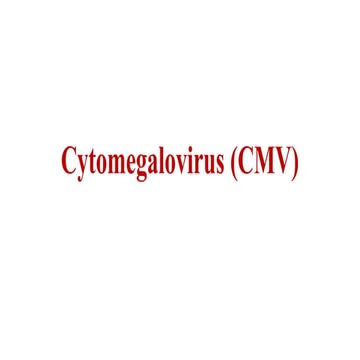 Cytomegalovirus (CMV) Cytomegalovirus // | PPTX