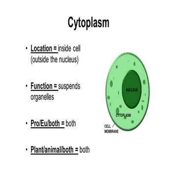Cytoplam | PPTX
