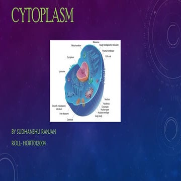 cytoplasm and its use and functions.pptx