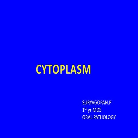 Observation yogurt bacteria (i) | DOCX