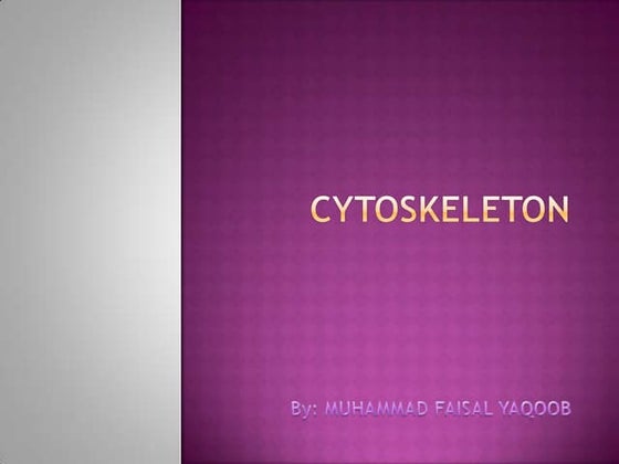 Cytoskeleton presentation (introduction structure & function) | PPT