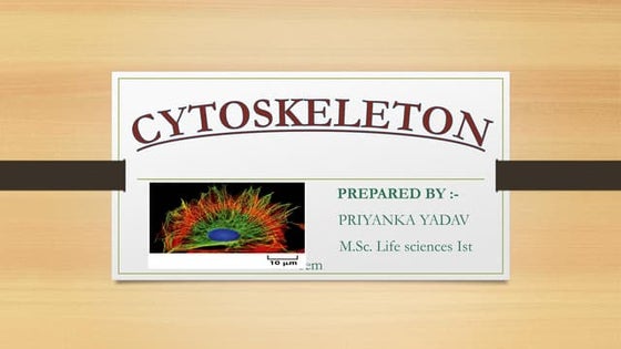 Cell cycle and its checkpoints | PDF | Biological Sciences | Science