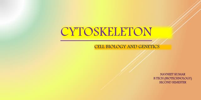 Cytoskeleton presentation (introduction structure & function) | PPTX