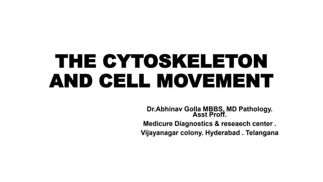 Cytoskeleton , cell shape and cell motility | PPTX