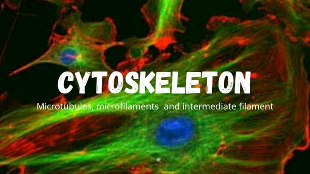 Cytoskeleton structure. Microfilaments, microtubules and intermediate filaments. | PPTX