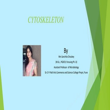Cytoskeleton Pptx