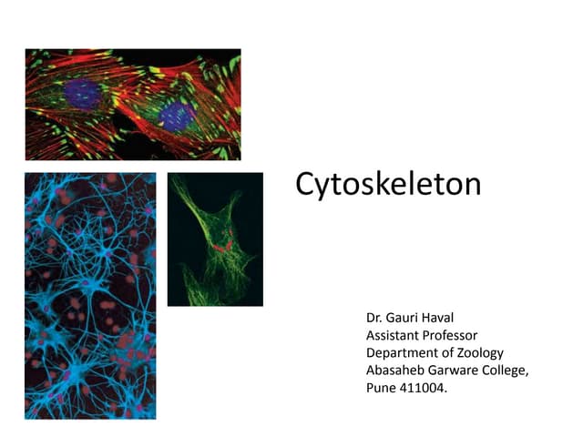 Cytoskeleton structure. Microfilaments, microtubules and intermediate filaments. | PPTX ...