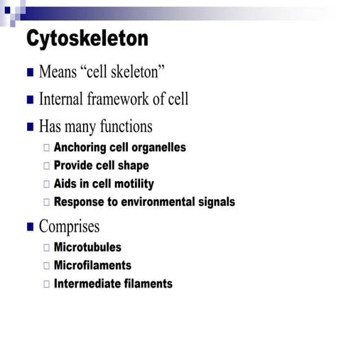 cytoskeleton for shape and size in plants and animals | PPT