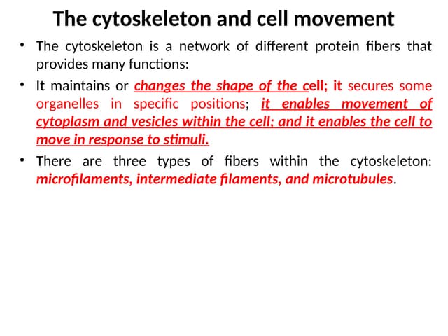 Cytoskeleton structure. Microfilaments, microtubules and intermediate filaments. | PPTX ...