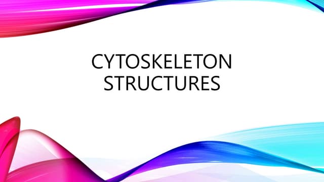 Cytoskeleton structure. Microfilaments, microtubules and intermediate ...