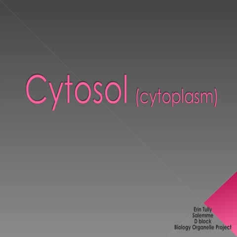 Cytosol (cytoplasm) | PPT