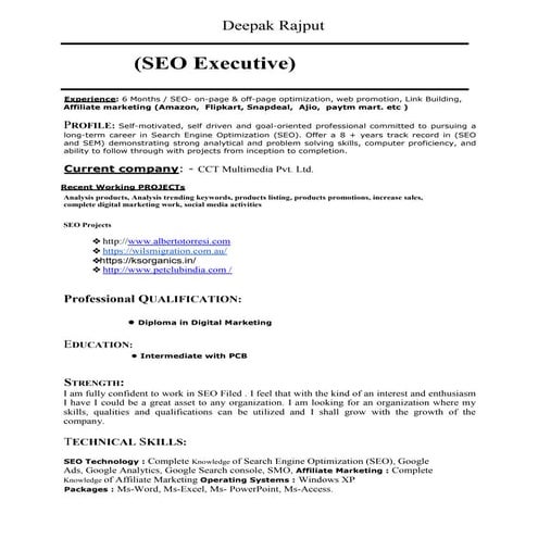 SEO Executive | DOCX