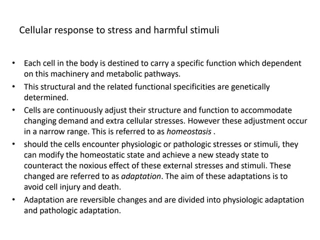 1.3. cellular adaptation. How cell adapt. | PPTX | Pregnancy ...