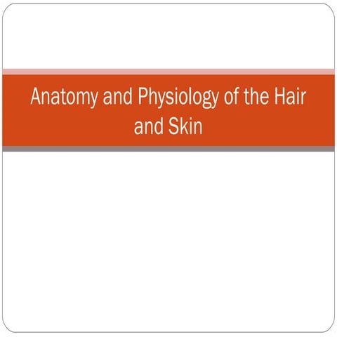 D anatomy and physiology of the hair and skin | PPT