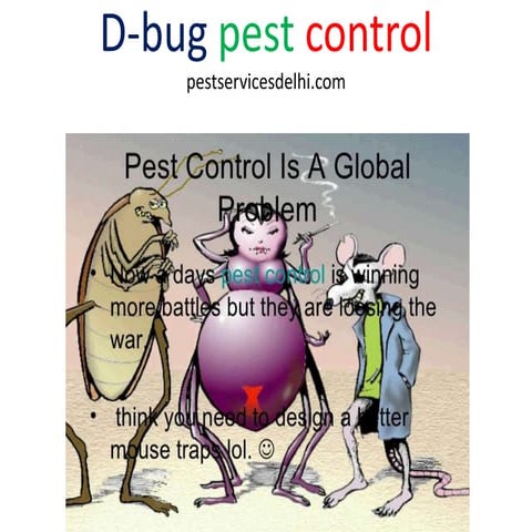 D bug pest control | PPT