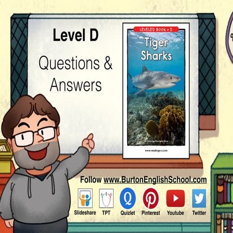 D Tiger Sharks | PDF