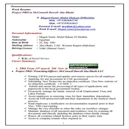 Maged samer CV | DOCX | Business | Business and Finance