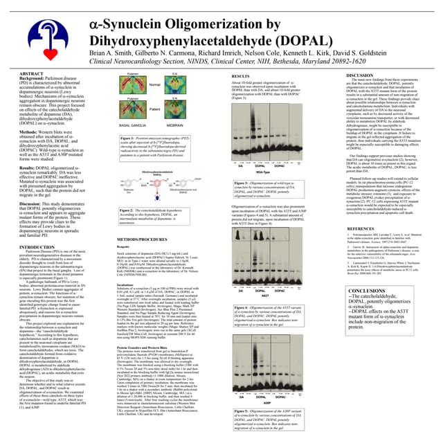 NIH Poster Brian A. Smith | PDF