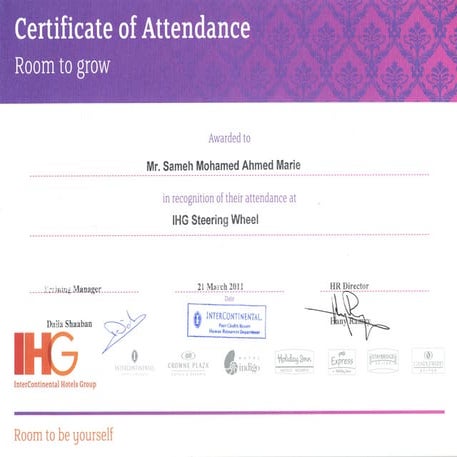 IHG Steering Wheel | PPT