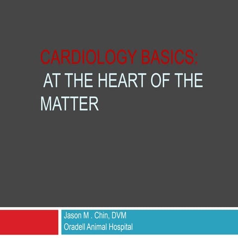 Cardiology Basics | PPTX